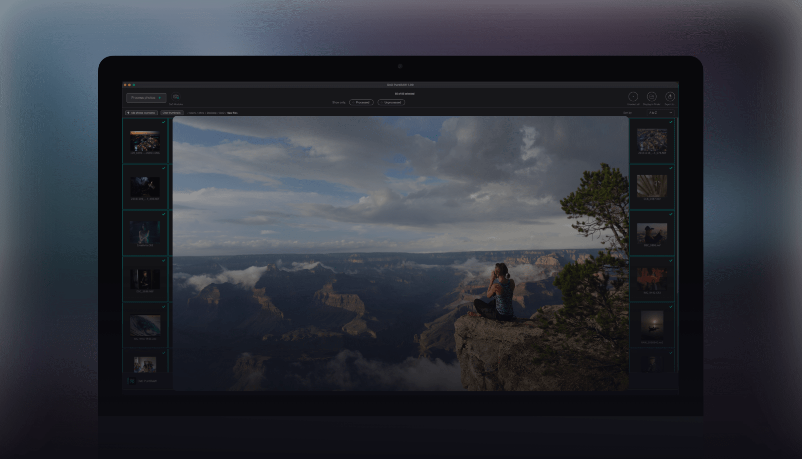 DxO PureRAW - Simply better RAW files