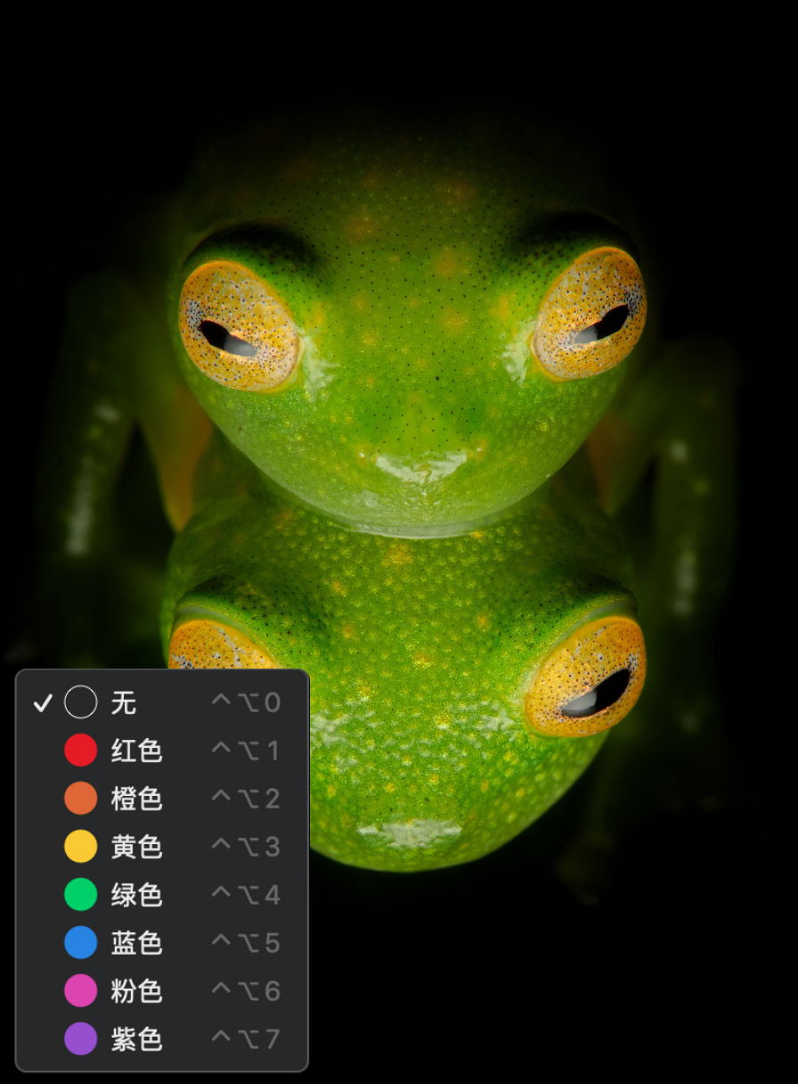 DxO PhotoLab 6 的全新功能? - DxO