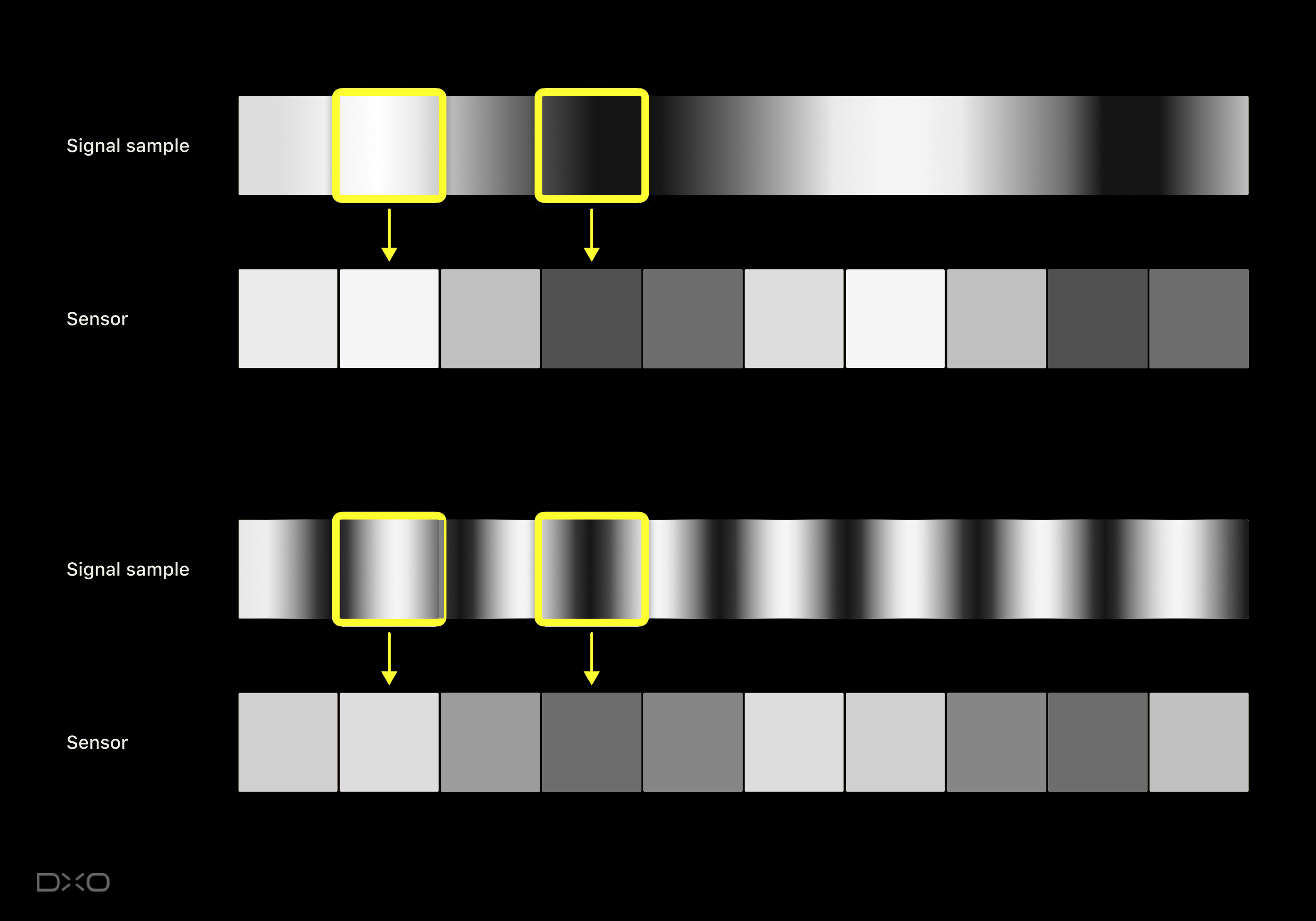 Support arrives for Fujifilm X-Trans sensors - DxO