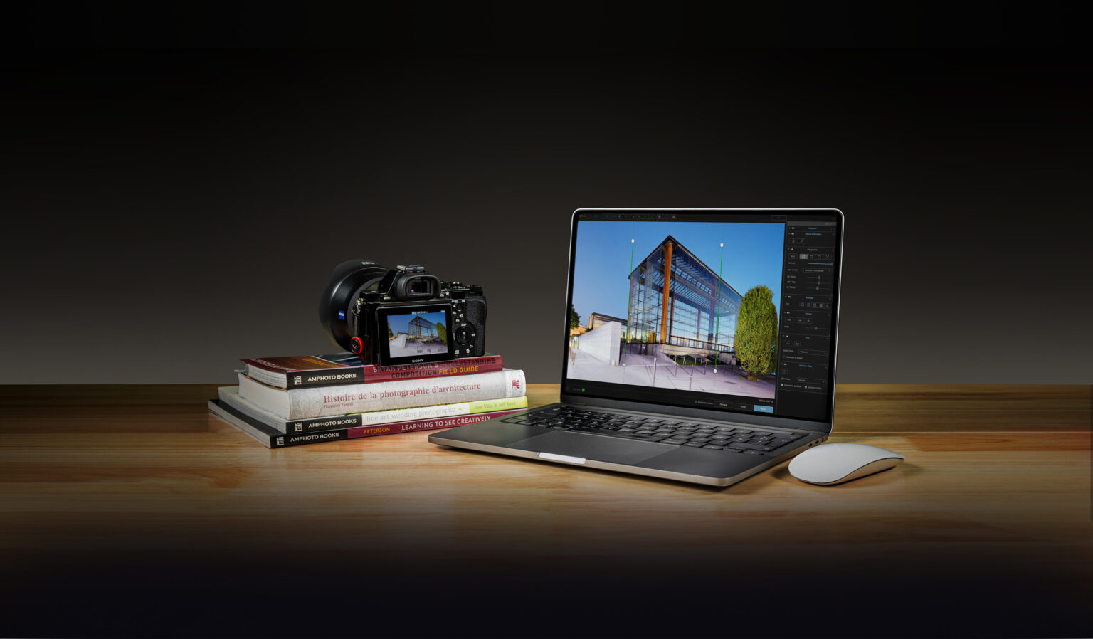 DxO ViewPoint - Take complete control of the geometry of your images