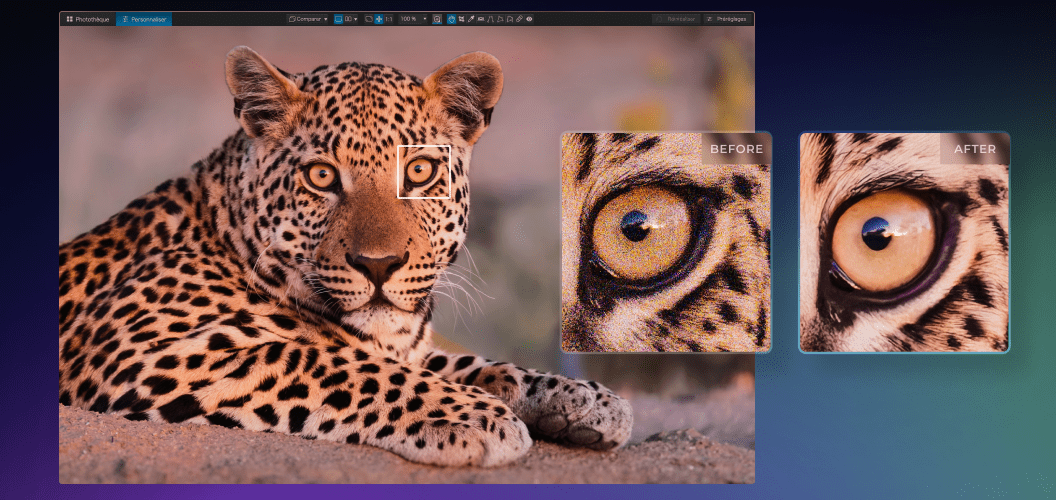 Introducing DxO PhotoLab 8 RAW photo editing at its finest - DxO
